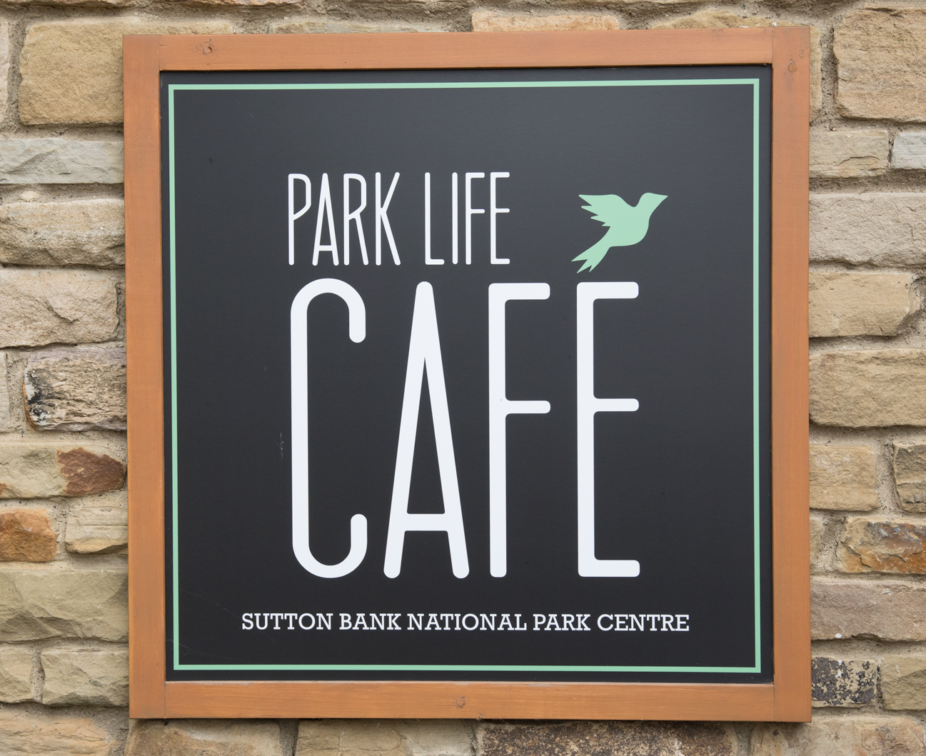 Mountain Biking at Sutton Bank